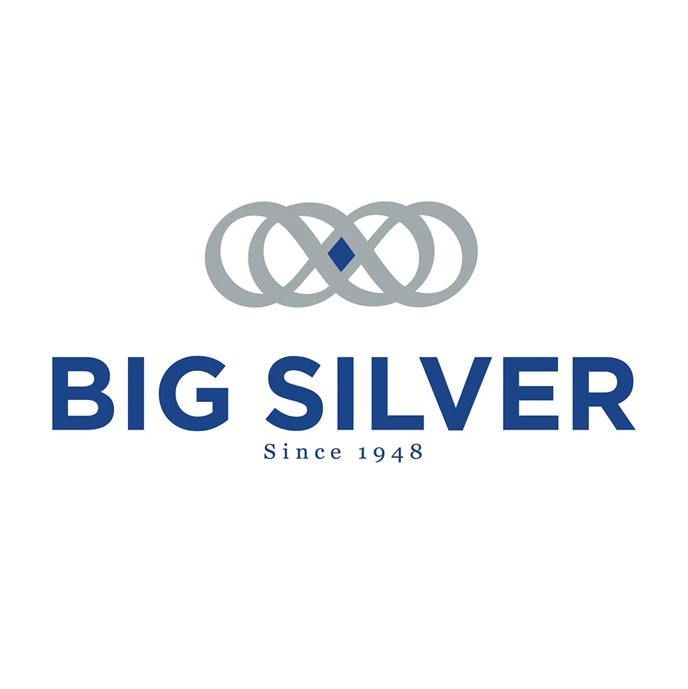 Company Overview - BIG SILVER MANUFACTURING COMPANY LIMITED