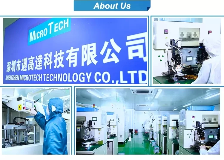 Company Overview - MICROTECH TECHNOLOGY COMPANY LIMITED