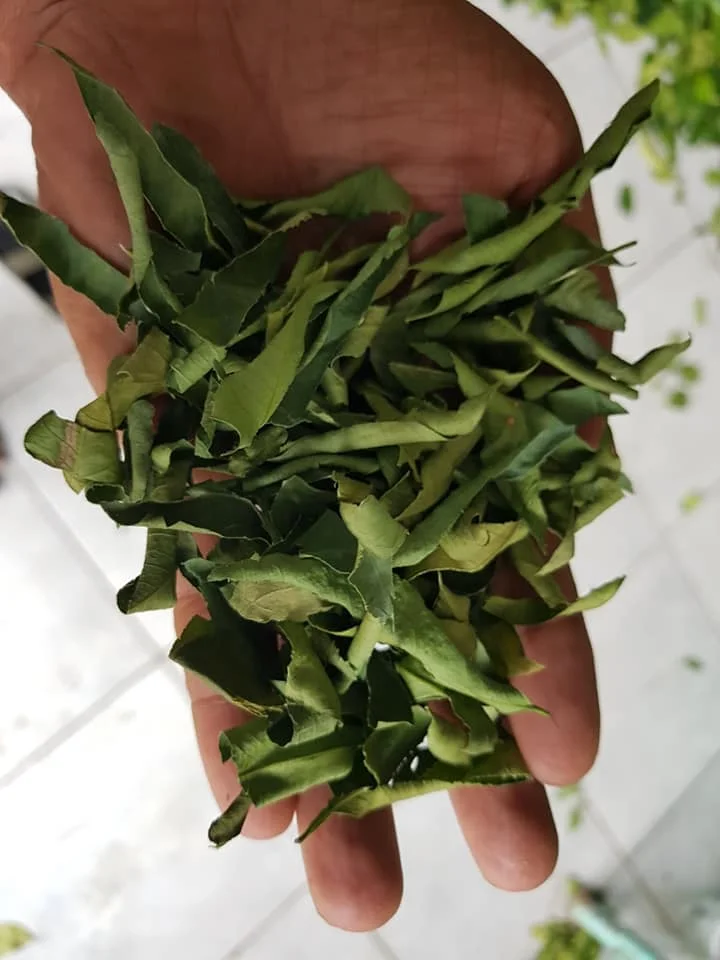 Pure Dried Lemon Leaves - Buy Dried Lemon Recipe lemon Tree Dried dried ...