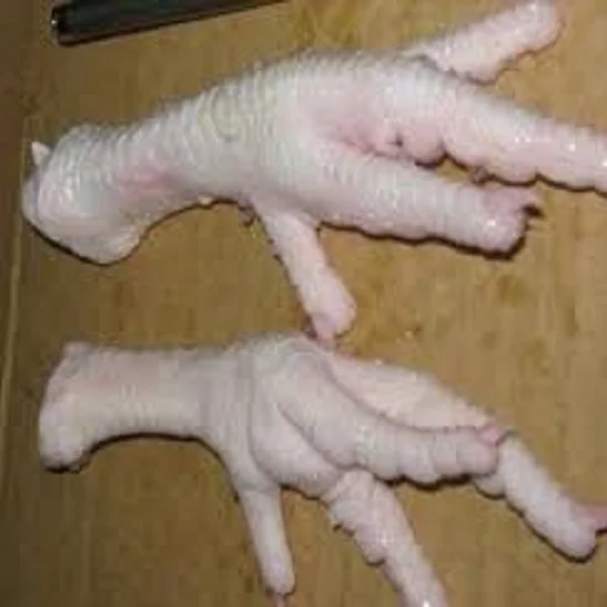 Premium Halal Frozen Chicken Paws Certification Frozen Chicken Feet ...