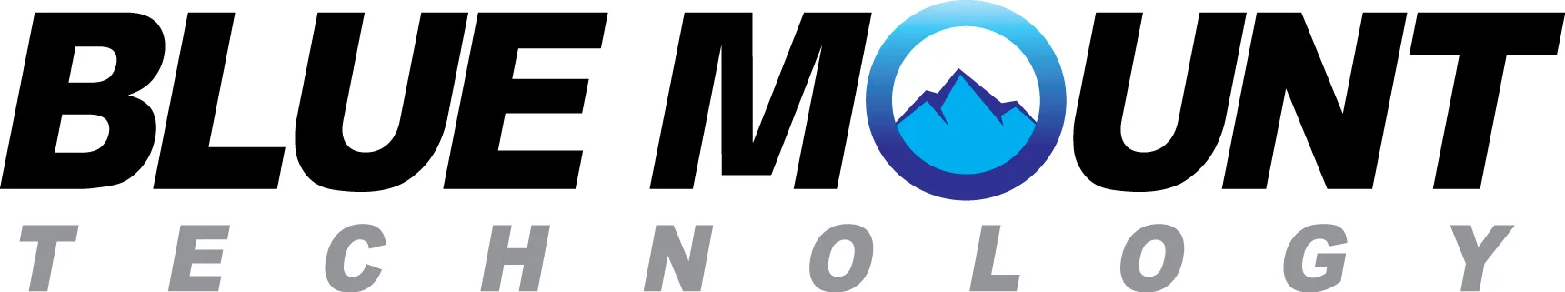 Company Overview - BLUE MOUNT TECHNOLOGY CO., LTD.
