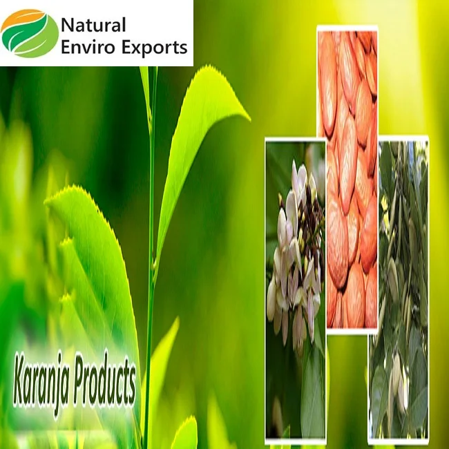 Karanja Cake Powder 1kg Customized Packaging and Label Slow Release Bio ...