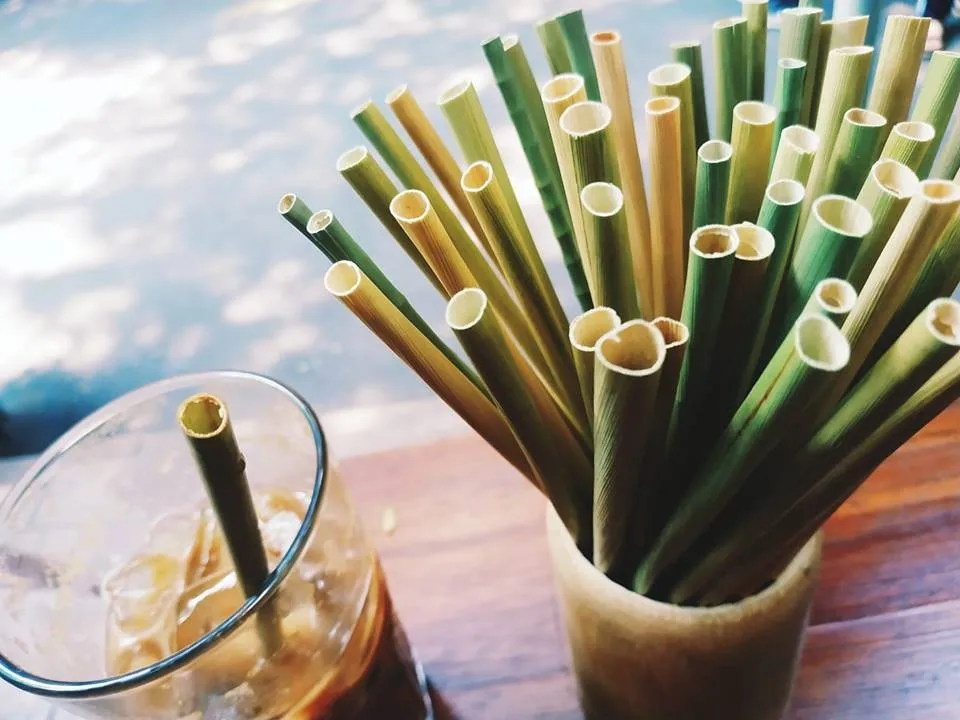 Eco-friendly Edible Rice Straws - High Quality & Durable