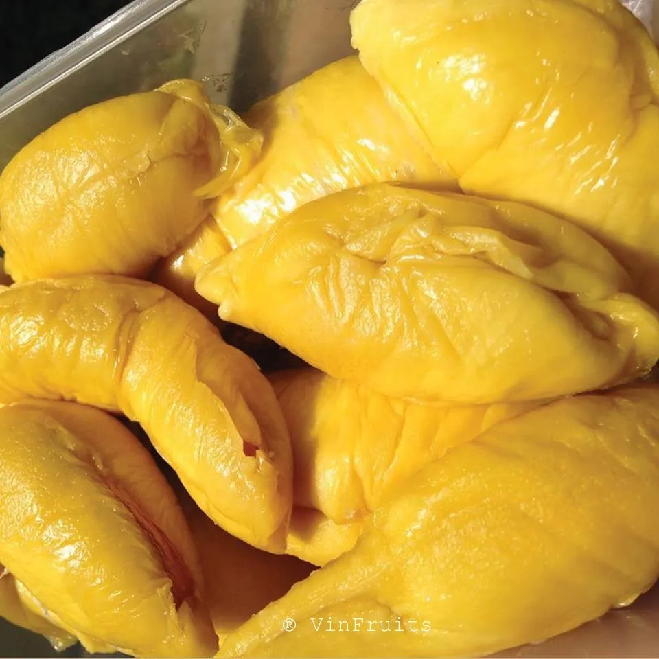 FRESH DURIAN FOR EXPORT, FROZEN DURIAN, DRIED DURIAN FROM VIETNAM ...