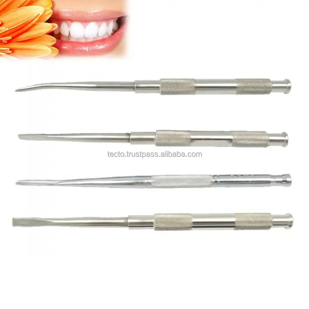 Professional Dental Bone Chisel Stainless Steel Round Handle Surgical ...