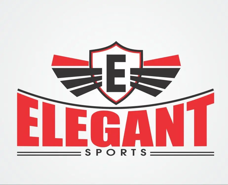 Company Overview - ELEGANT SPORTS