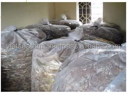 Raw Cashew Husk For Animal Feed (fiber,Fat And Nutritious) Wholesale In ...