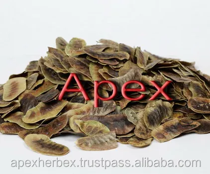 Cassia Pod & Senna Leaves Benefits for Hair - Organic TBC