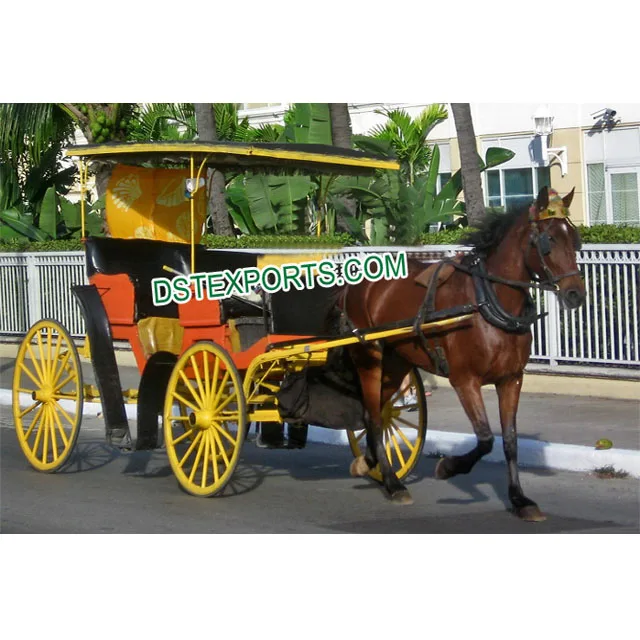 Horse Drawn Surrey Carriage Buggy American Horse Surrey Carriage Two ...