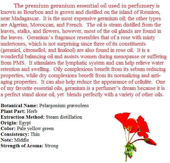 100% Pure Geranium Essential Oil For Skin Care - Buy Geranium Essential ...