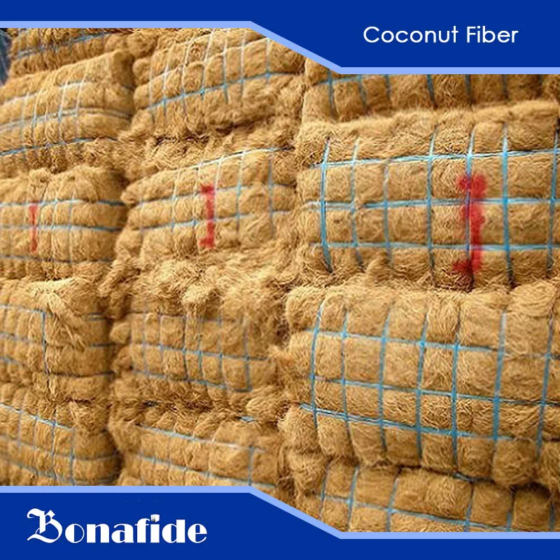 Bulk Coconut Fiber From Java Agriculture Indonesia Exporter For Home Decorations At Wholesale ...
