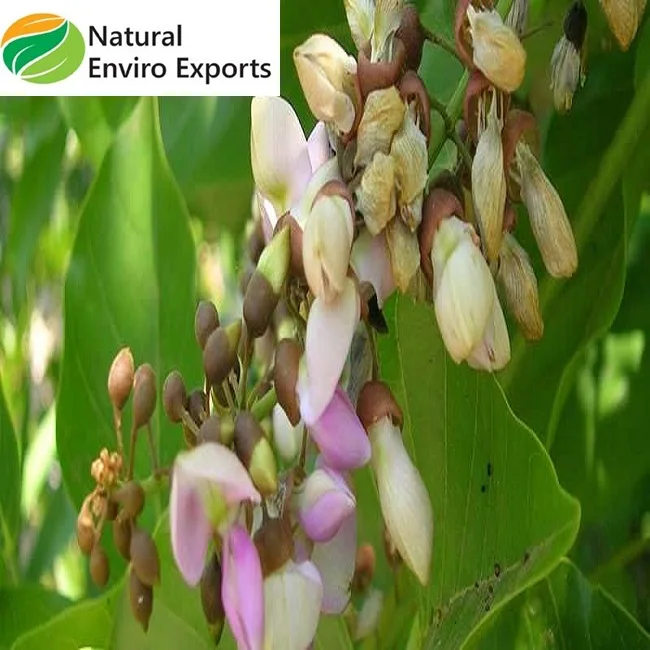 Karanja Cake Powder 1kg Customized Packaging and Label Slow Release Bio ...