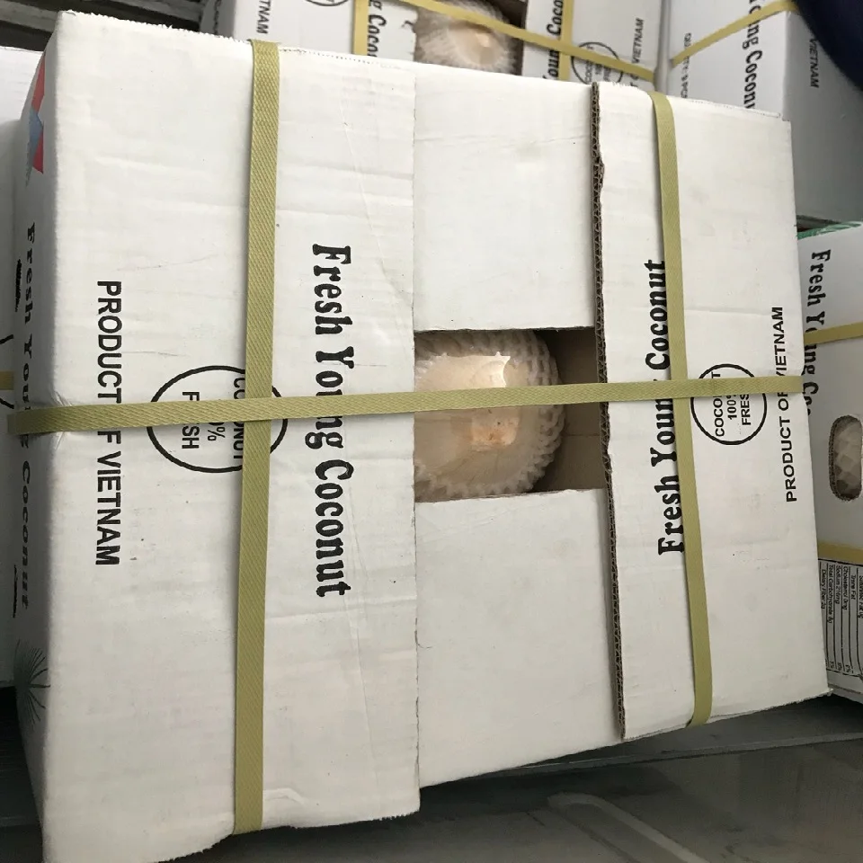 Fresh Coconut - Diamond Cut - Vietnam Origin - Buy Fresh Coconut,Fresh ...
