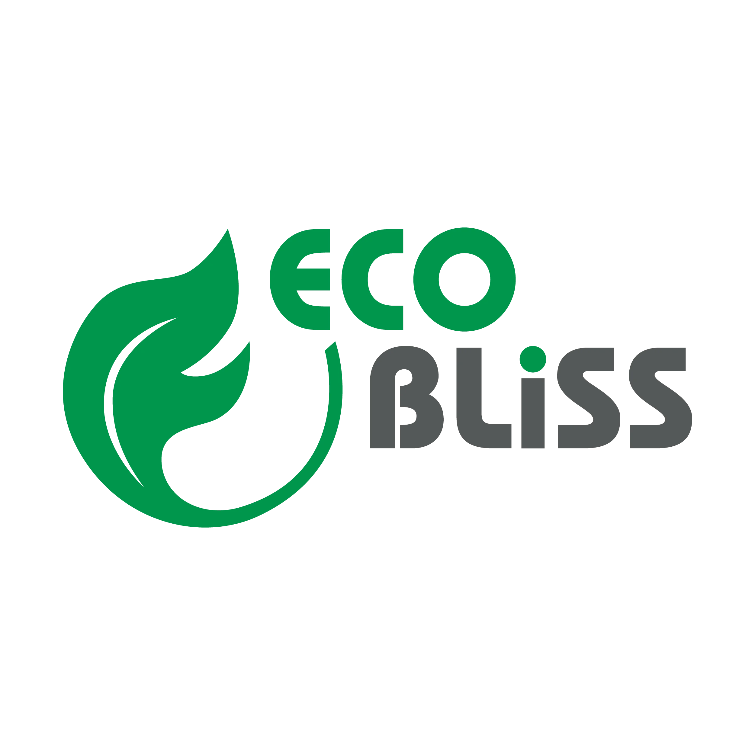 Company Overview - ECOBLISS SDN. BHD.