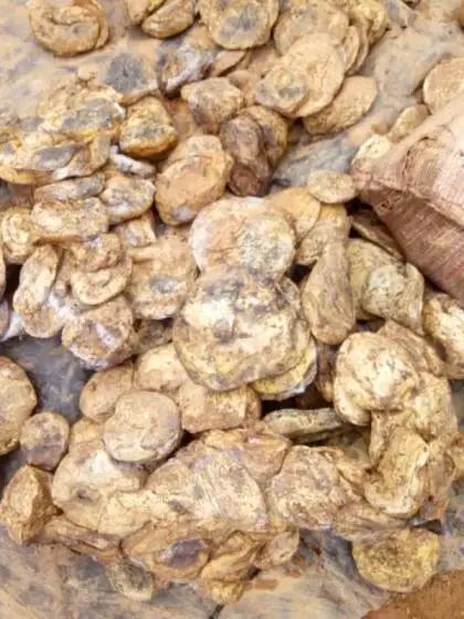 High Quality Natural Rubber Rss3 / Ribbed Smoked Sheets Rss1,Rss5 ...