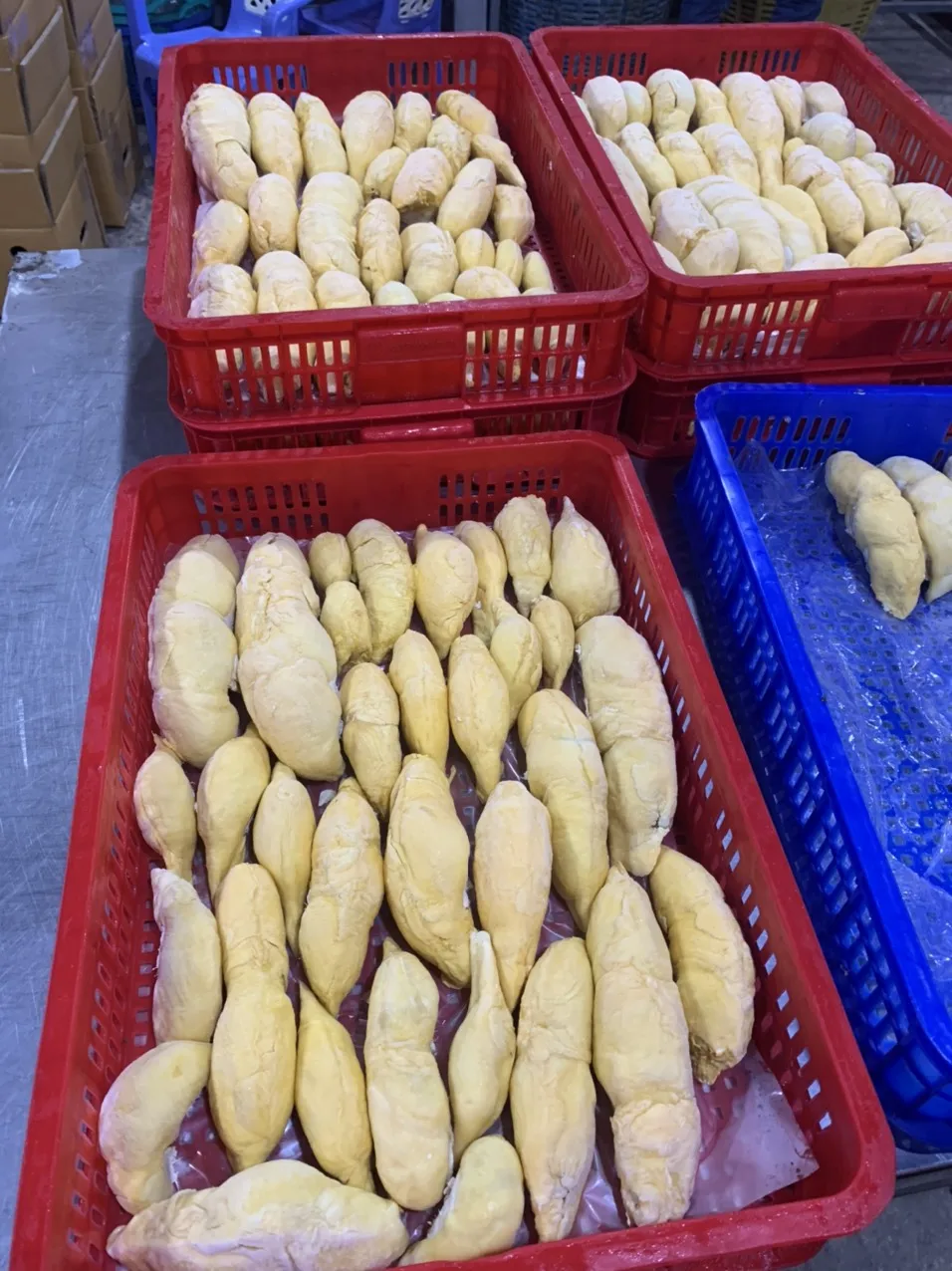 Fresh/frozen Durian High Quality New Crops / Premium Frozen Durian ...