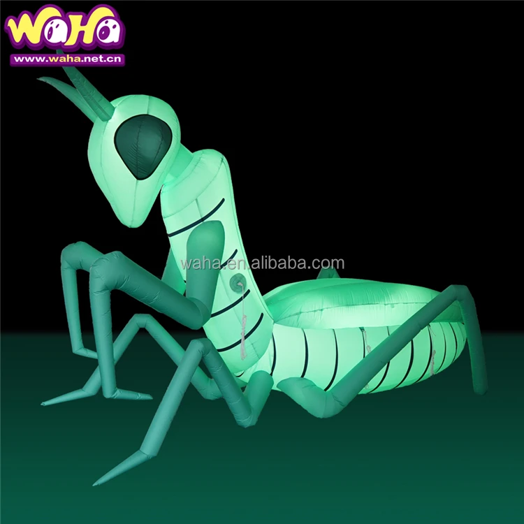 Inflatable Advertising Balloon Giant Inflatable Mantis - Buy Mantis ...