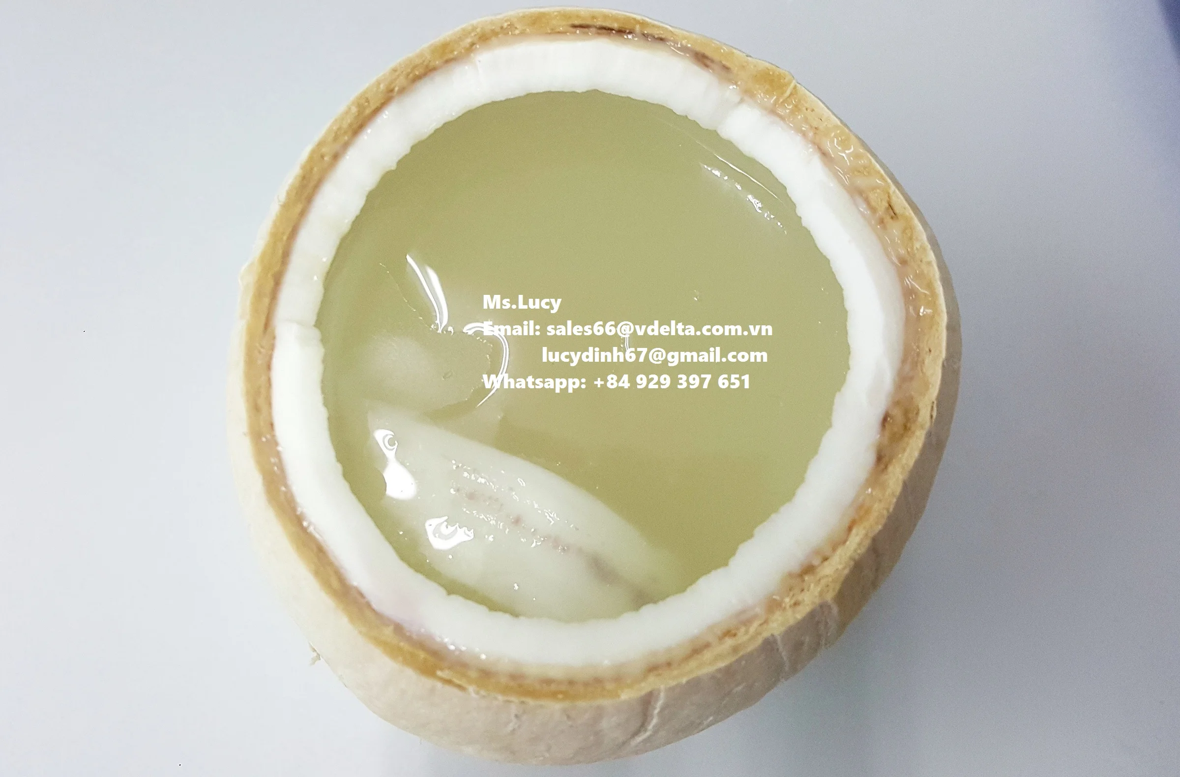 High Quality Nata De Coco/ Coconut Jelly From Vietnam Ms.lucy +84 929 ...