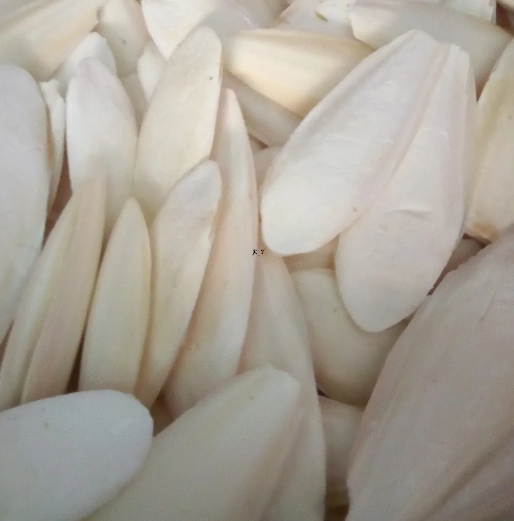 Wholesale Dry Cuttlebone Cuttlefish Bone For Pets Reptile Hermit Crab ...