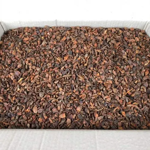 Star Anise Factory Viet Nam Lowest Price And Best Quality Spices And ...