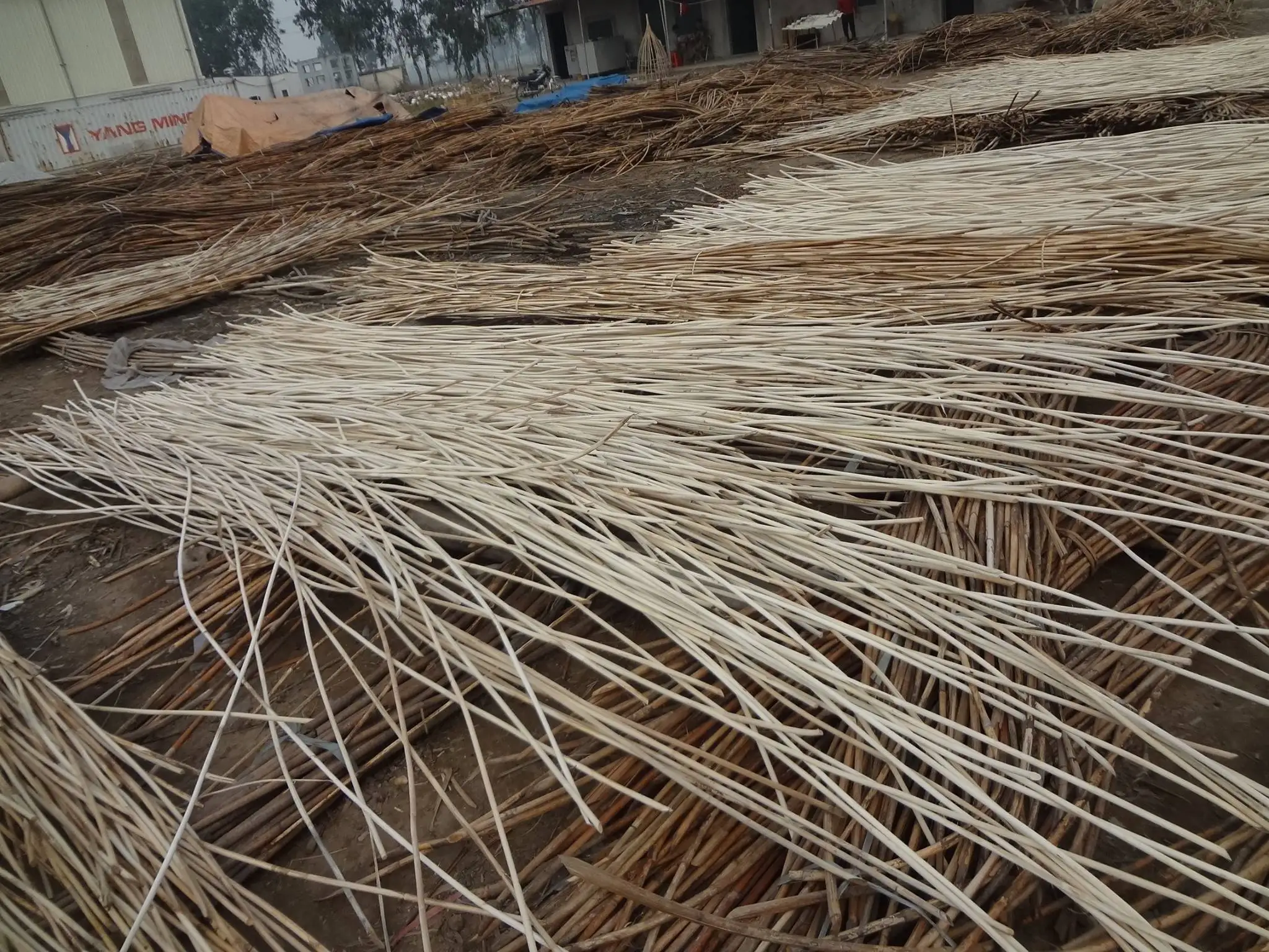 Rattan Core 500g For Making Furniture With Natural Color Or Bleached ...