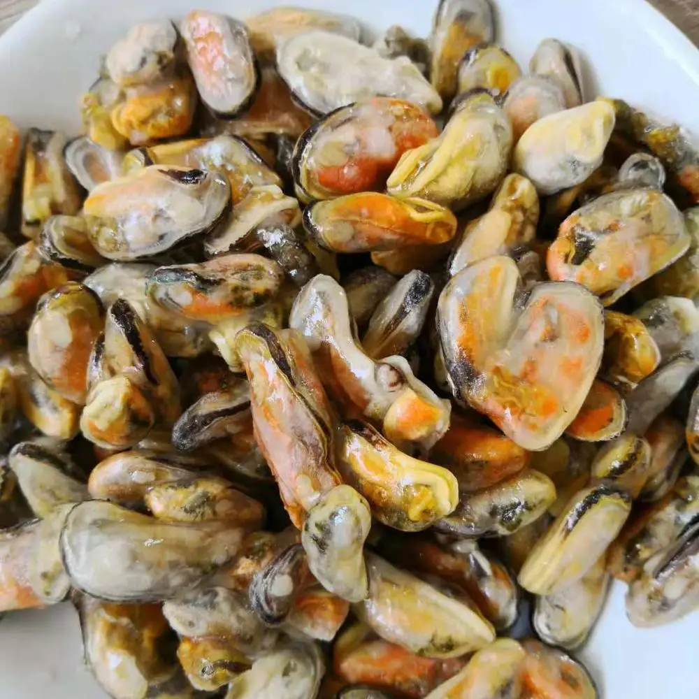 Seafood Export Frozen Live Shellfish Without Shell Blue Mussel Meat For ...