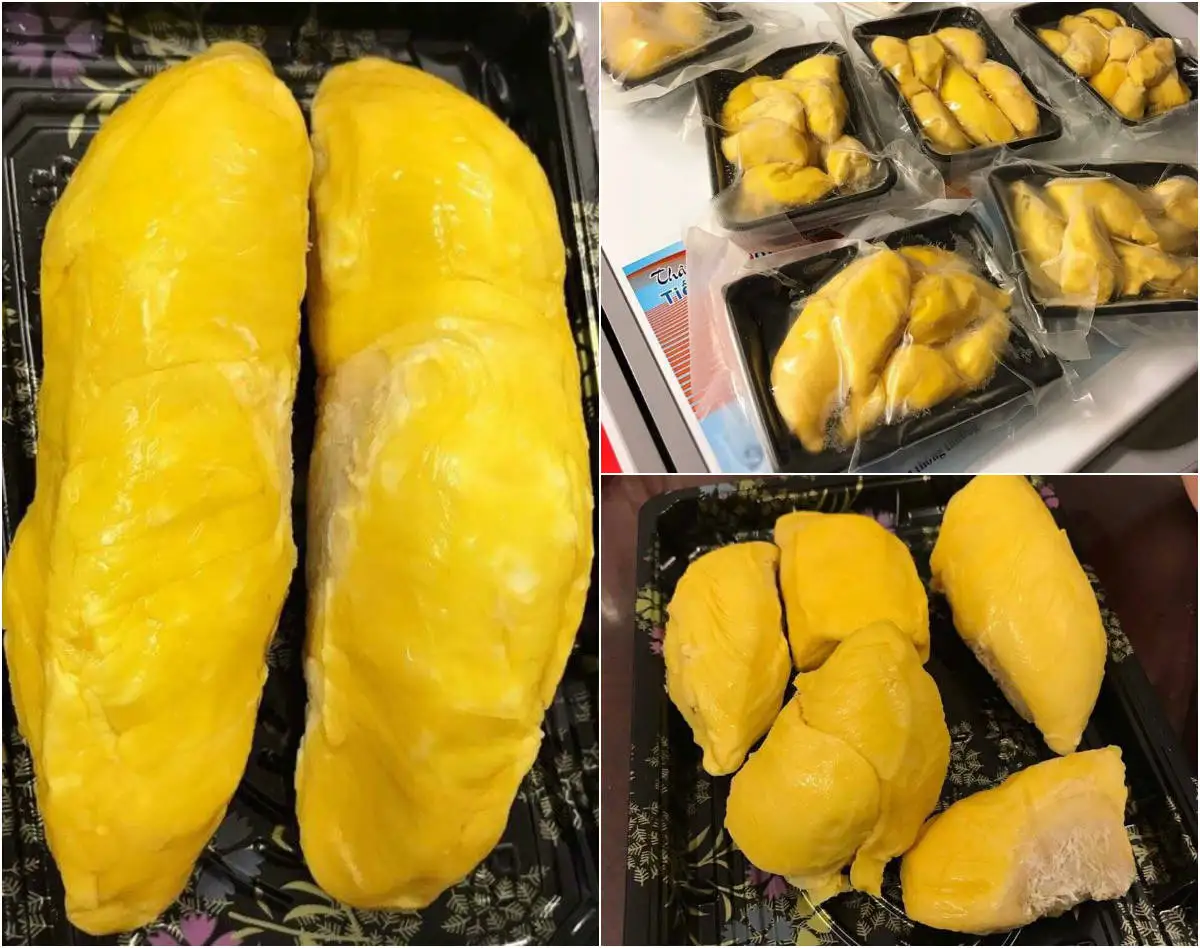 Fresh & IQF Frozen Durian Fruit in Bulk Air Weight Preserved with Water ...