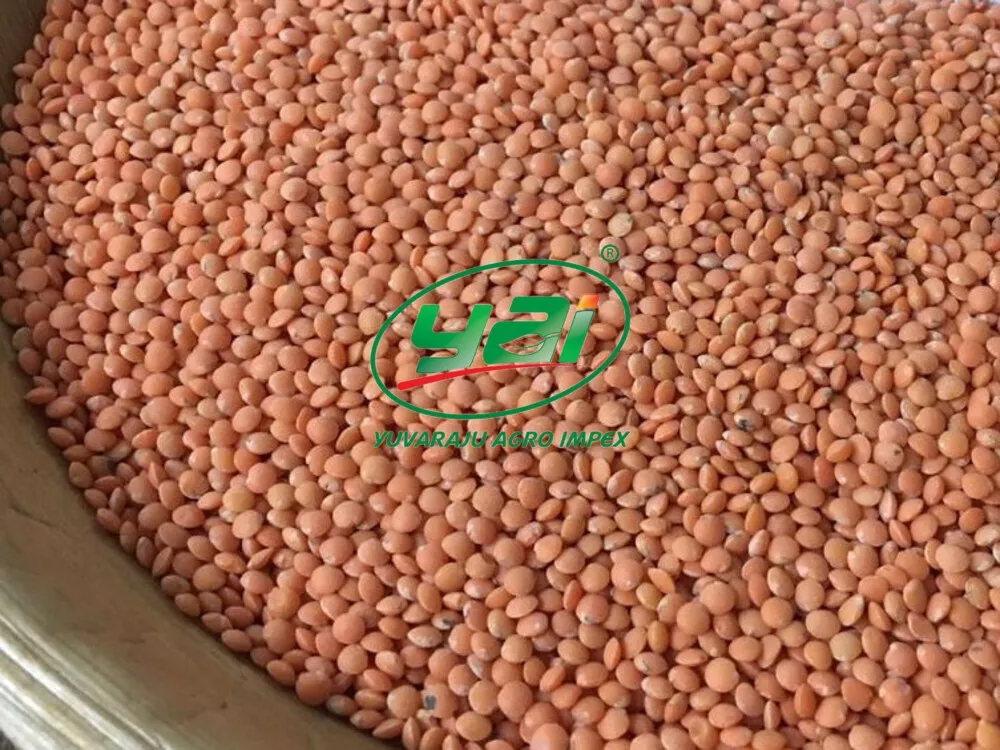 Bulk Red Lentils - Buy Organic Red Whole Lentils With Out Husk,100 % ...