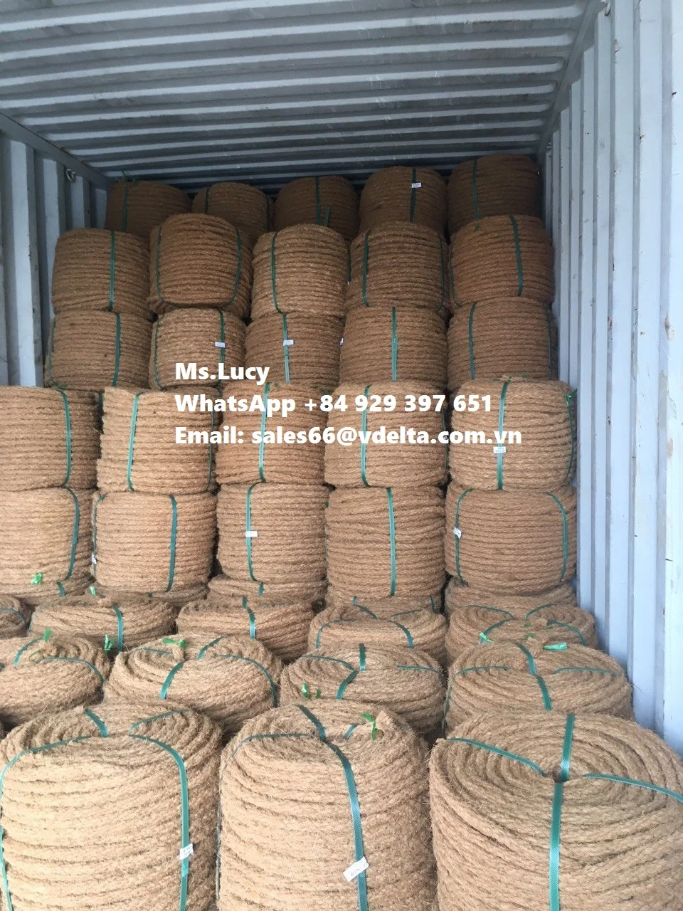 Vietnam Coir Rope/ Natural Coconut Coir Ropes From Coconut Fiber/ The ...