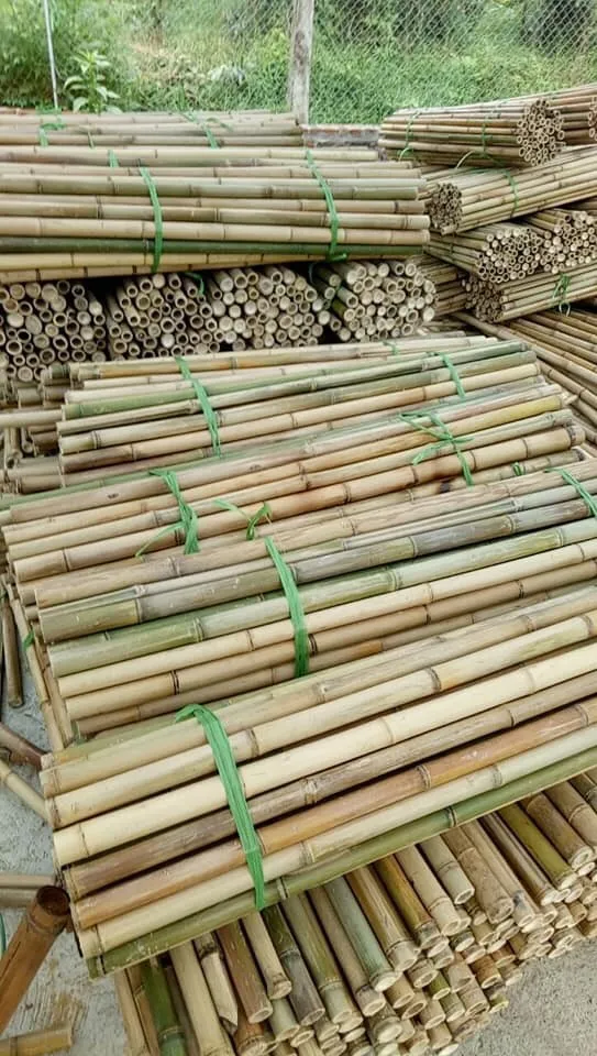 Raw Bamboo Material,Bamboo Pole,Bamboo Stick From Vietnam - Buy Bamboo ...