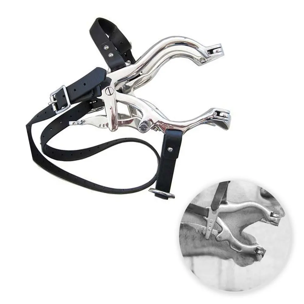 Equine Dental Mouth Gag For Big Animals Horse/ Pony,Cows And Cattle ...