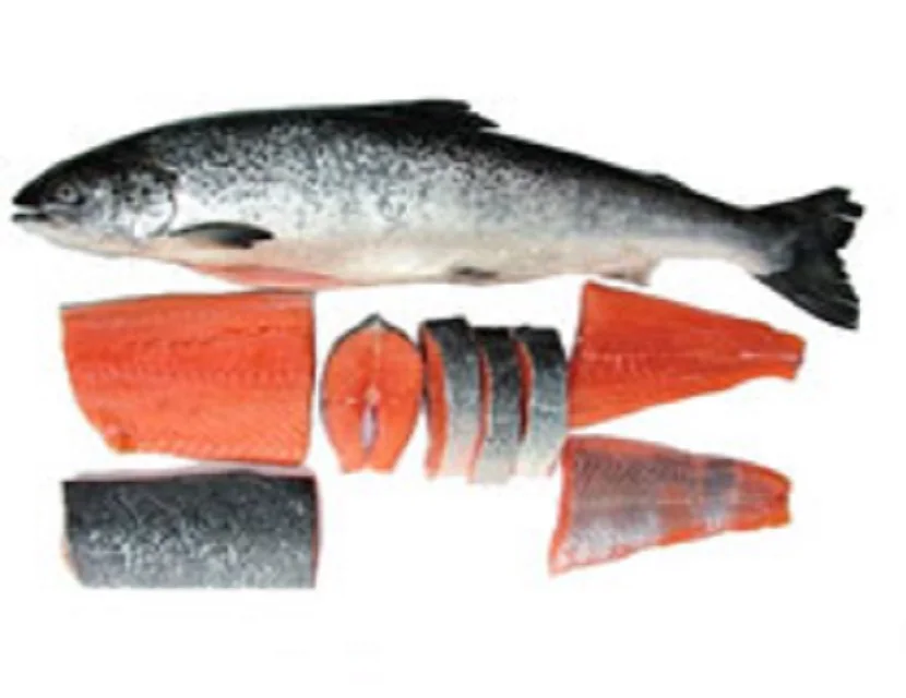 IQF Salmon Fillets, Salmon Belly From Brazil with HACCP Certificate ...