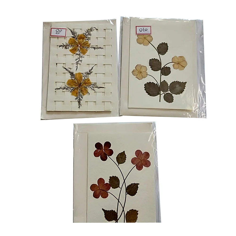 Latest Collection Natural Flower Leaf Greeting Cards All Occasion ...