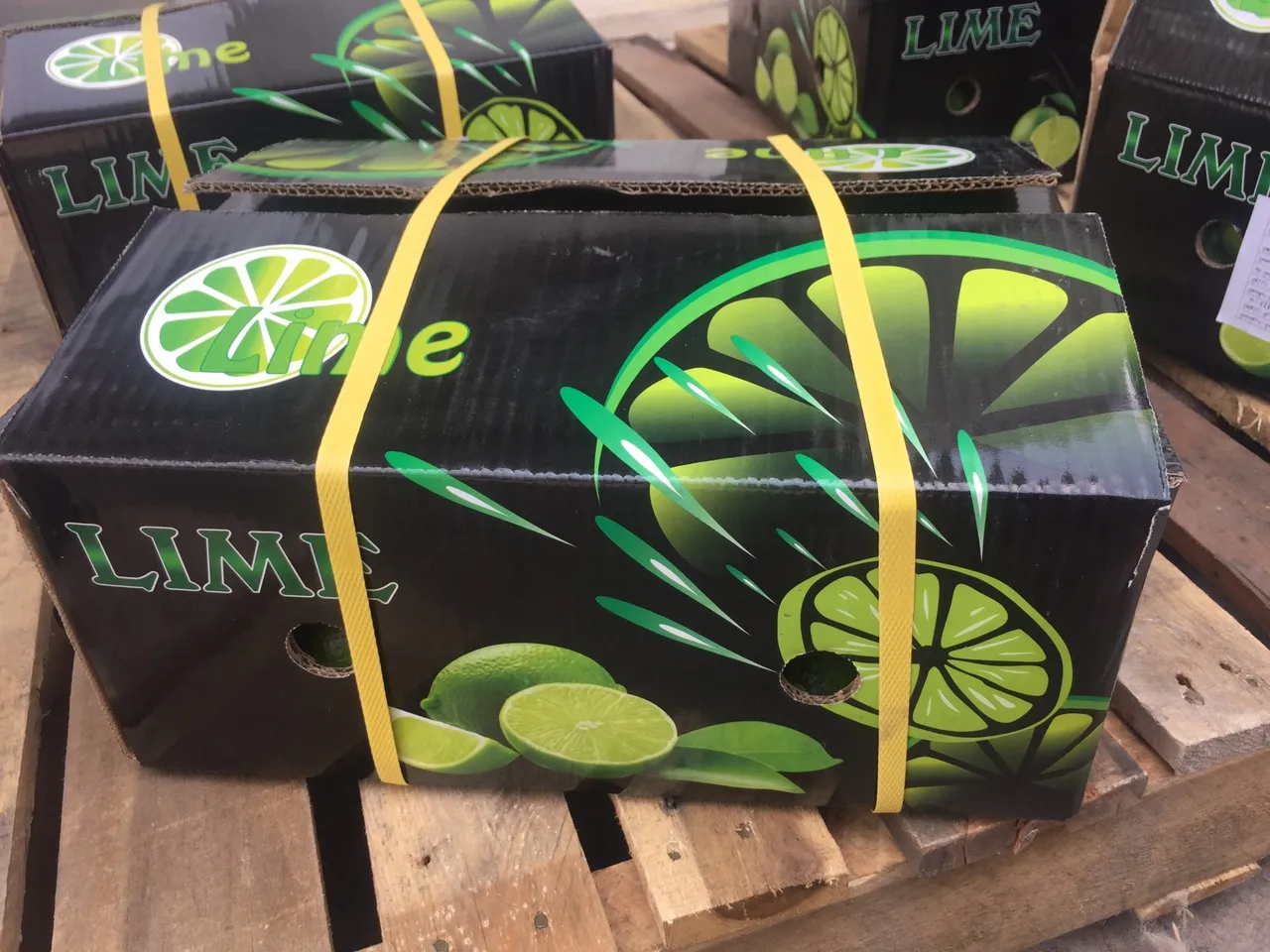 Fresh Green Seedless Lime And Lemons From Vietnam For Export - Buy Lime ...