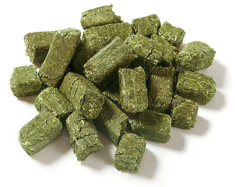 Wholesale Dealer Of Alfalfa Hay Cubes For Animal Feed Fresh Stock Available In Bulk - Buy ...