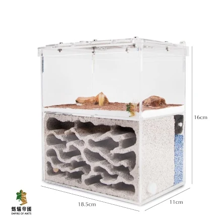 Wilderness Red Sand Ant House - Sustainable & Stylish