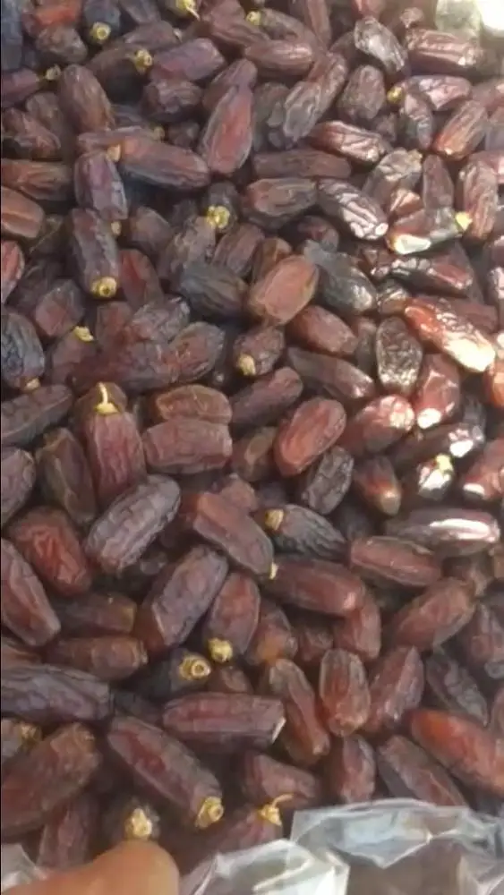 High Quality Sweet Mabroom Dates Madinah Mabroom Madinah Dates Turkey ...