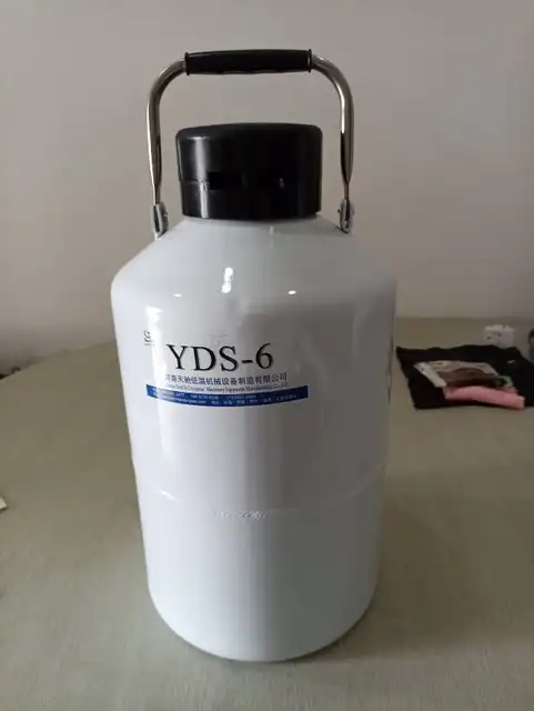 Small Dewar Vessel Flask 6l Cryogenic Cylinder Yds10 Portable Liquid ...
