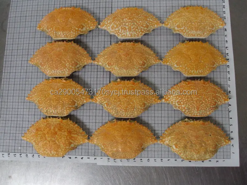 Dried Shrimp Shell Meal/ Shell Crab Powder/ Animal Feed In 2021 - Buy ...