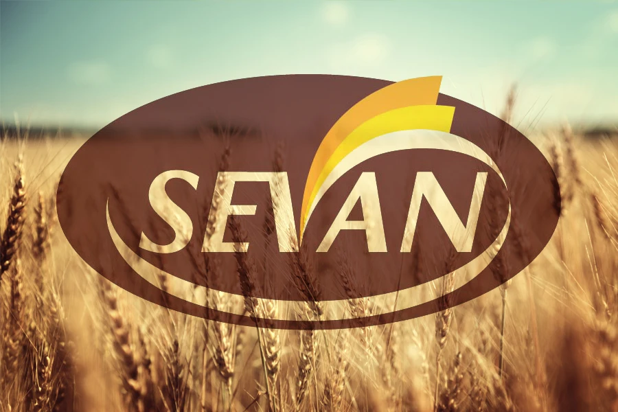 Company Overview - SEVAN DIS TICARET LIMITED SIRKETI