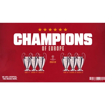 Custom Any Size Giant Crowd Surf Flags Personalised Banner Flag - Buy ...