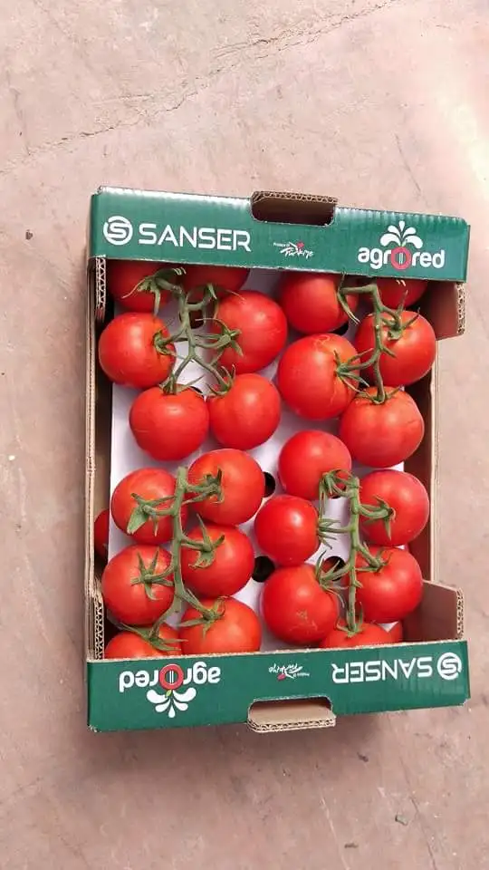 New 2023 Best Quality Factory Direct Sale Plastic Turnover Boxes Fold ...