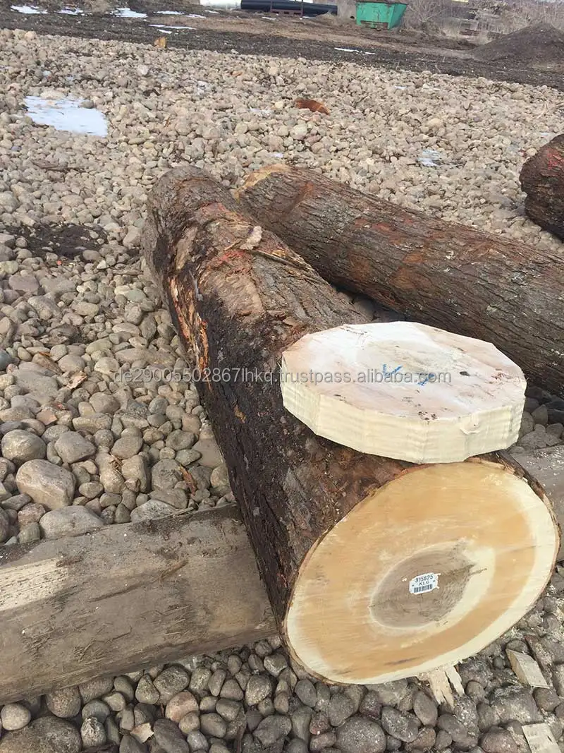 Acacia/ Maple/ Oak Logs for Stave Wood, 35+ Cm - FSC Certified