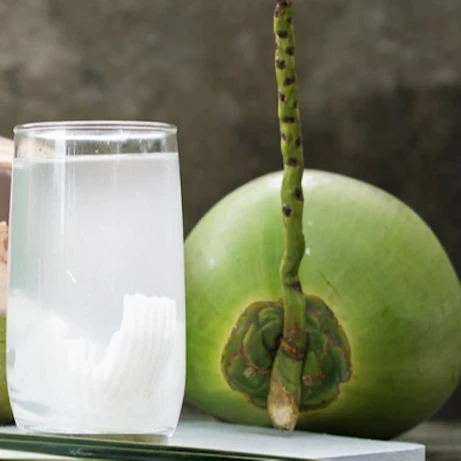 Organic fresh coconut from Vietnam land of coconut| Alibaba.com