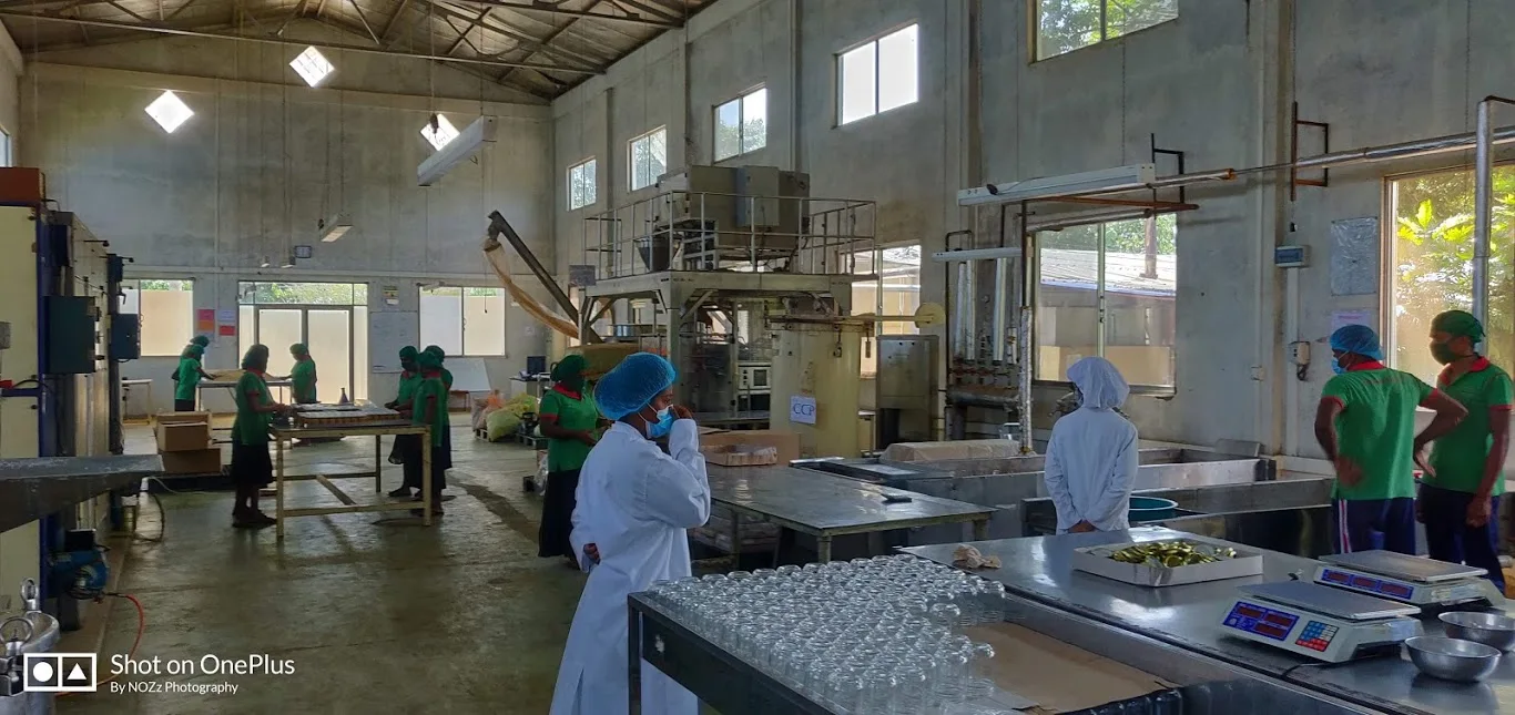 High Quality Organic Coconut Flour at Bulk Best Price Flour Power for ...