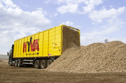 Acacia Wood Chips In Vietnam/ Ability: 150.000 Bdmt/month - Buy Wood ...