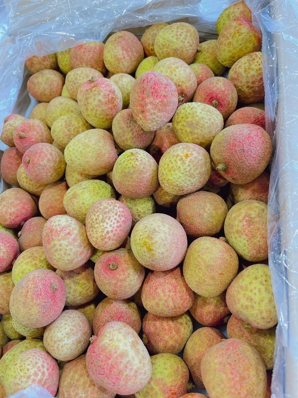 Sweet Fresh Lychee From Vietnam 0084947900124 - Buy Fresh Lychee,Fresh ...