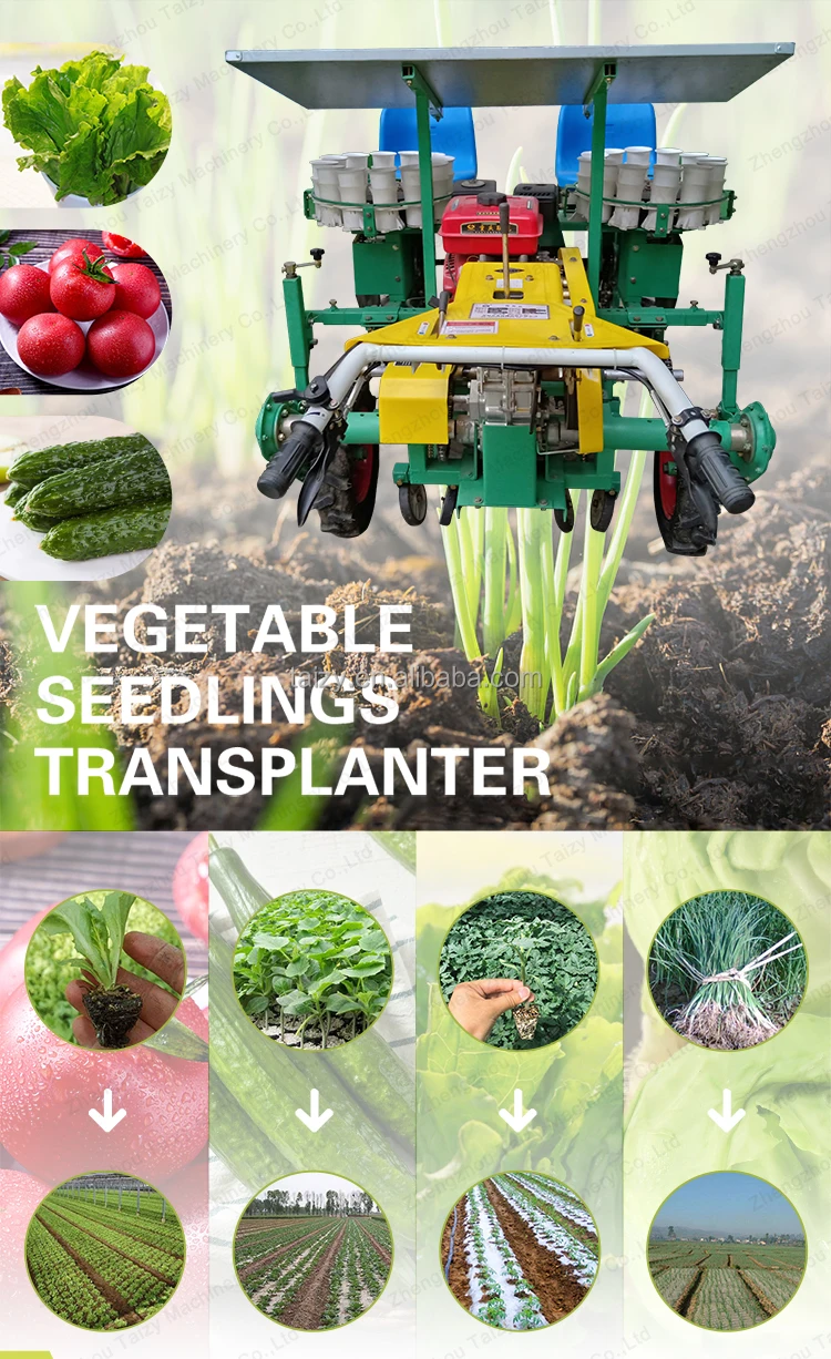 Vegetable Seedling Transplanter - Efficient & Easy to Use