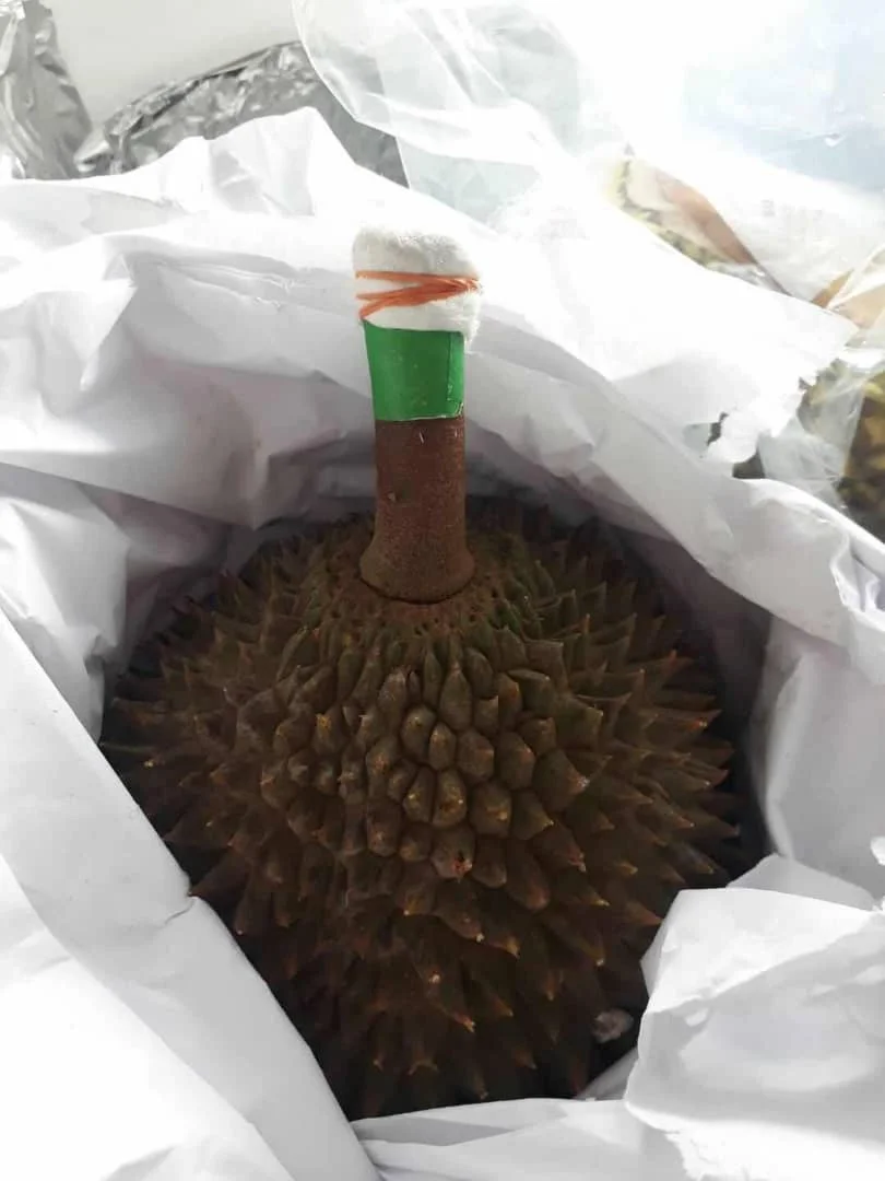Premium Malaysia Fresh Xo Durian - Sultan King - Buy Premium Durian ...