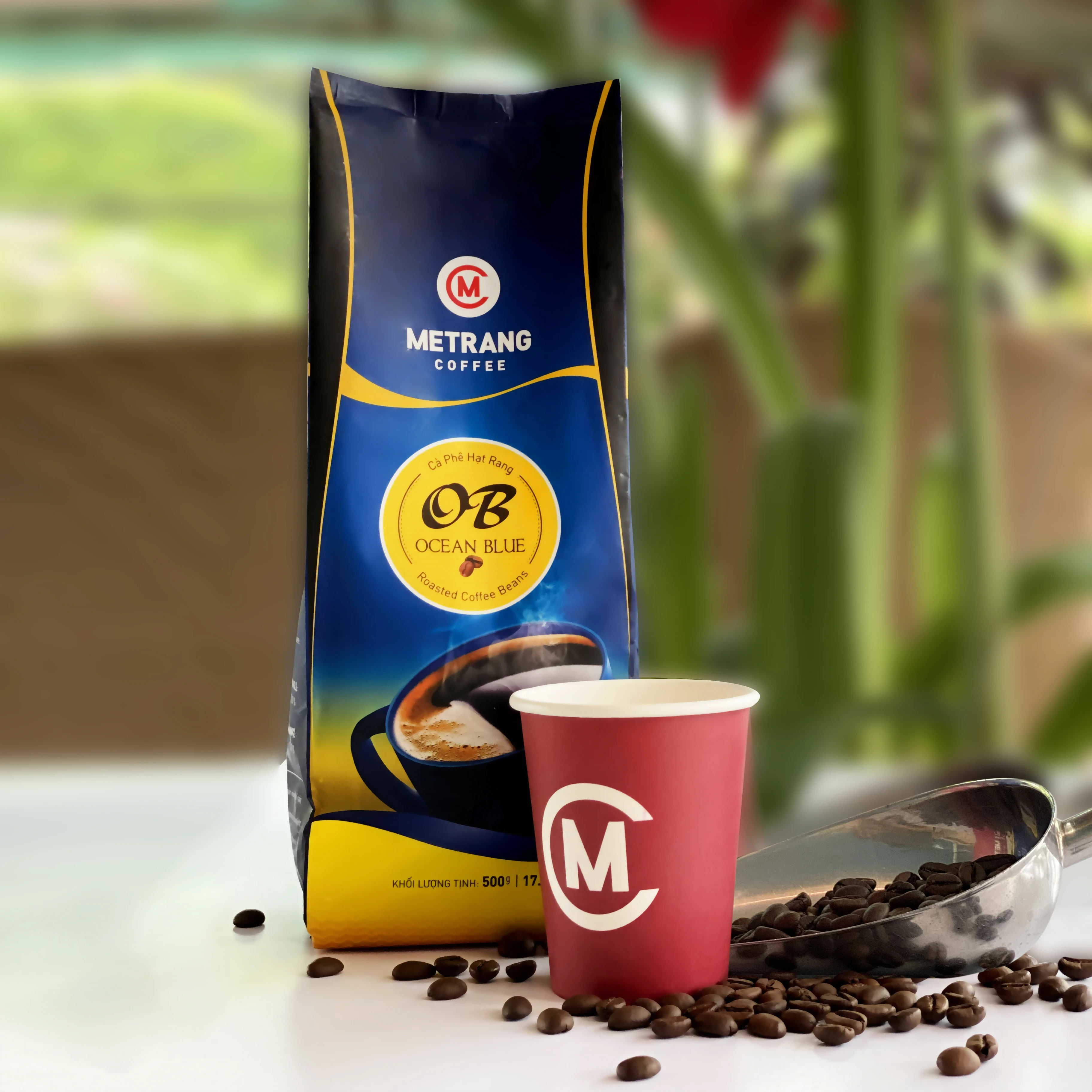 Coffee Beans Vietnam Caffeinated Ocean Blue Roasted Coffee Beans With ...